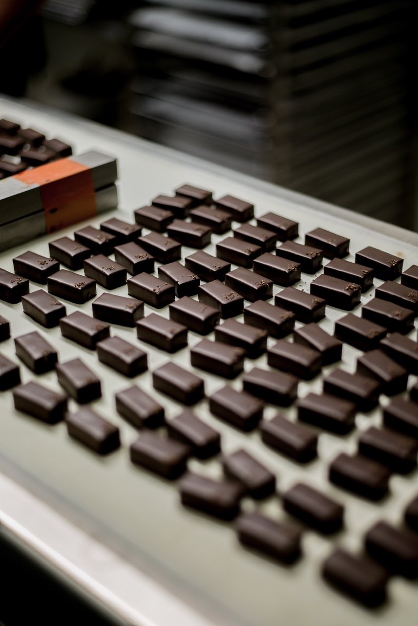 公開 Alban Guilmet 手工朱古力🍫制造幕後花絮 | Everuts